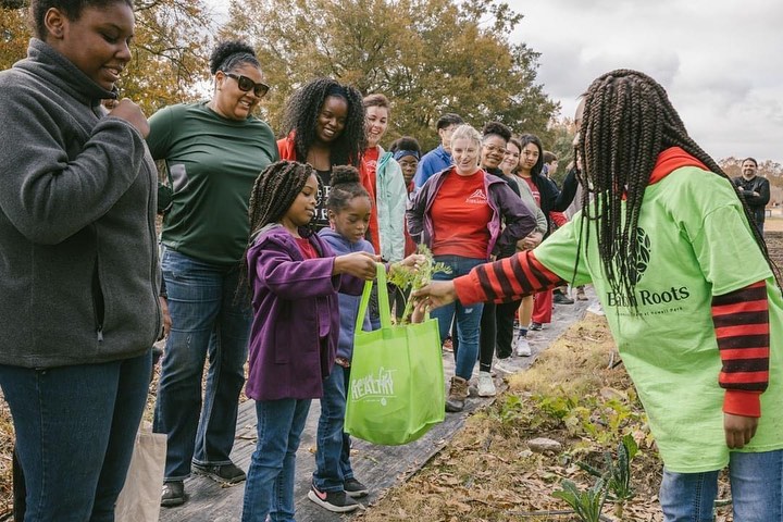 Social Services | HealthyBR